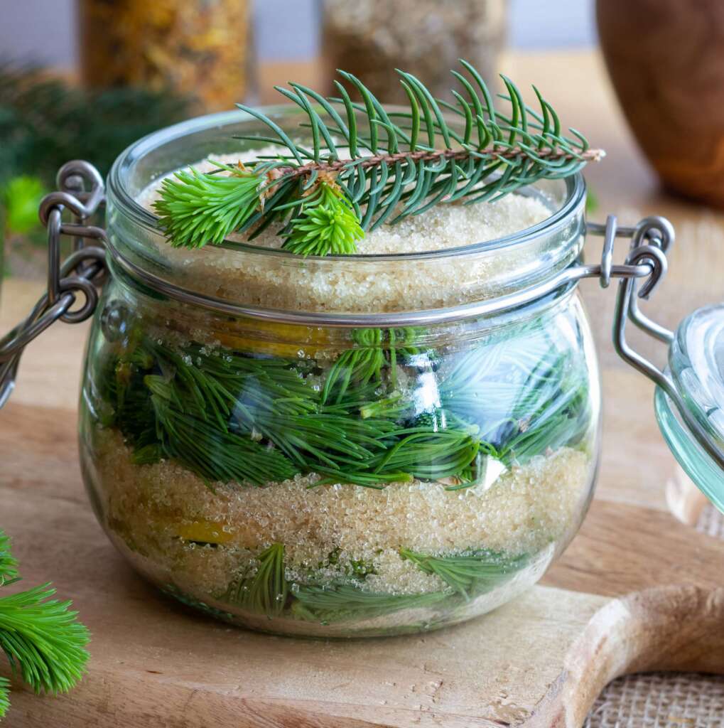 Fragrance: Sugared Spruce - American Candle Supplies